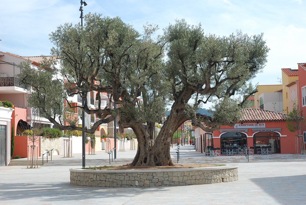 DECOUVRIR SAINT-CYR - Saint-Cyr-sur-Mer